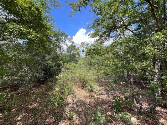 Round Lake, FL Land for Sale | Landmodo