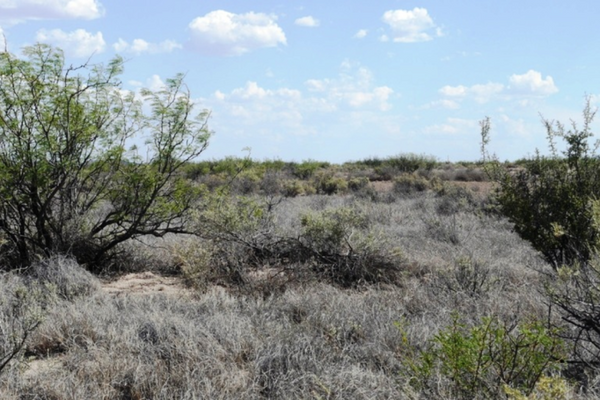 Deming Ranchettes, New Mexico, USA 88030 Land for Sale | Landmodo