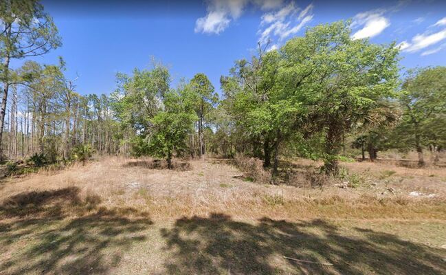 311 Gardenia Ave, Georgetown, FL 32139 Land for Sale | Landmodo