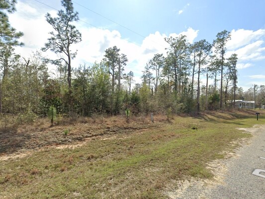 0 Parkside Dr, Donalsonville, GA 39845 Land for Sale | Landmodo