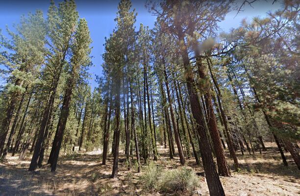 California Pines, Modoc County, California Land for Sale | Landmodo