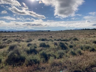 Oregon Land for Sale in July 2022