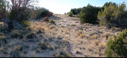 Sanders, Apache County, AZ, 86502 Land for Sale | Landmodo