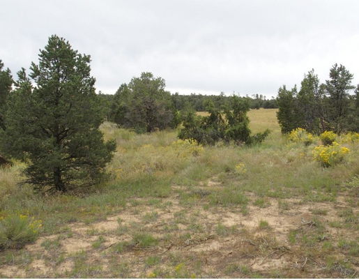 Garfield, New Mexico, 87321 Land for Sale | Landmodo