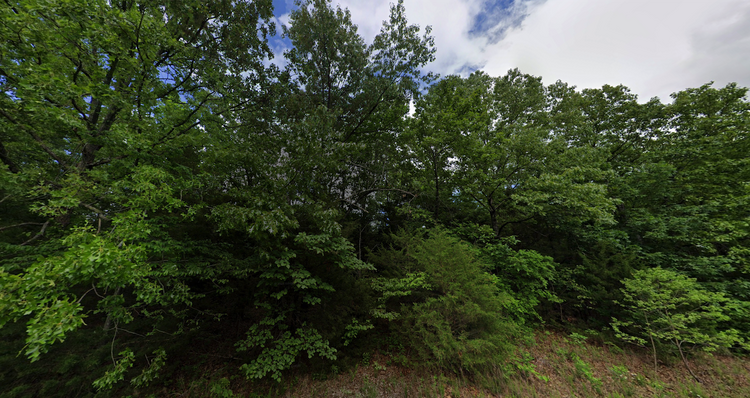 1309 Dewberry Ln, Horseshoe Bend, AR, 72512 Land for Sale | Landmodo
