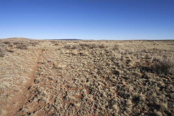 Estancia Ranchettes, New Mexico, USA 87101 Land for Sale | Landmodo