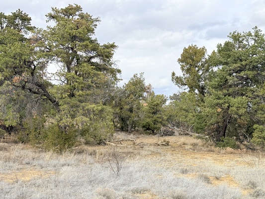 Soaring Hawk Lane, Great White Father Subdivision, Pinehill, NM Land ...