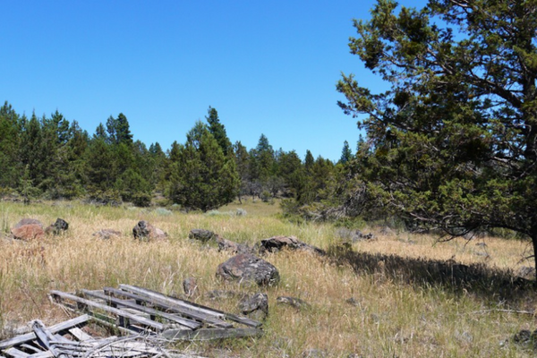 Klamath Forest Estates, Oregon, 97623 Land for Sale | Landmodo
