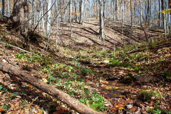 Klink Trail., Creston, NC 28615 Land for Sale | Landmodo