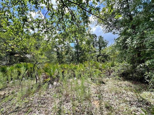 Round Lake, FL Land for Sale | Landmodo