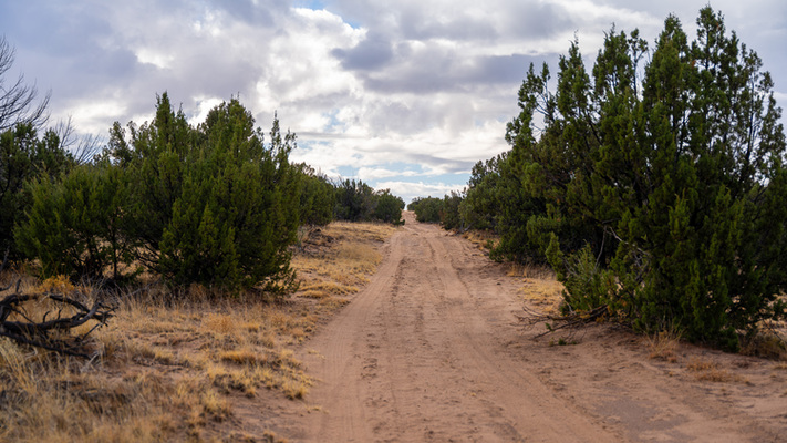TBD N7123, Sanders, AZ 85936 Land for Sale | Landmodo