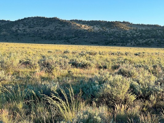 Lot 118 Mallard Dr, Termo, CA 96132 Land for Sale | Landmodo