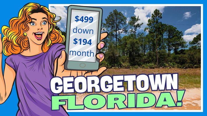 105 Mosswood St, Georgetown, Florida 32139 Land for Sale | Landmodo