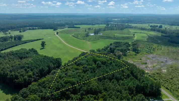 1143 Reed Rd, Castalia, NC 27816 Land for Sale | Landmodo