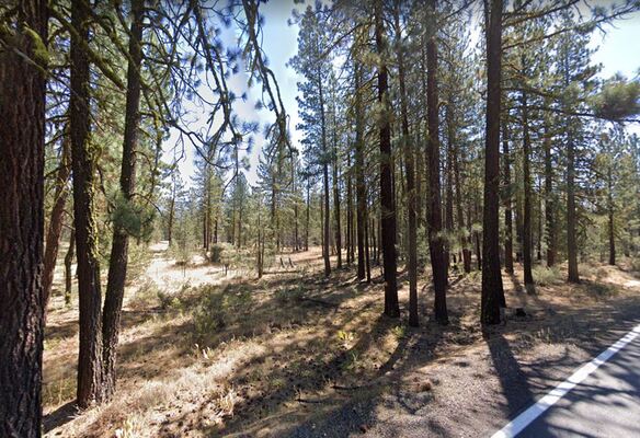 California Pines, Modoc County, California Land for Sale | Landmodo
