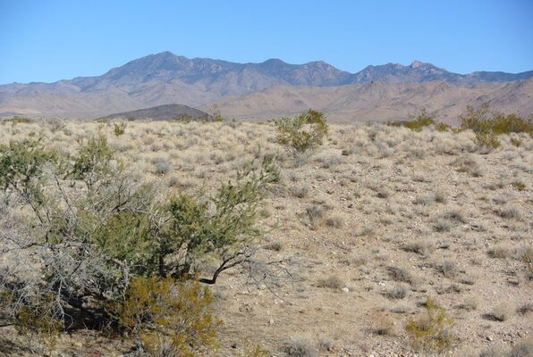 Golden Valley, Arizona 86413 Land for Sale | Landmodo
