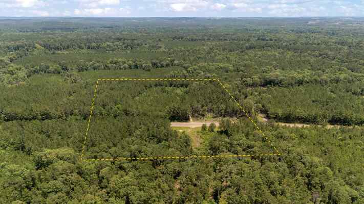 55602 LA 191, Florien LA, 71429 Land for Sale | Landmodo