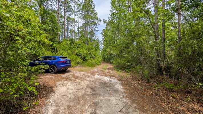 PCV8 H8H Federal Point, Florida, USA Land for Sale | Landmodo