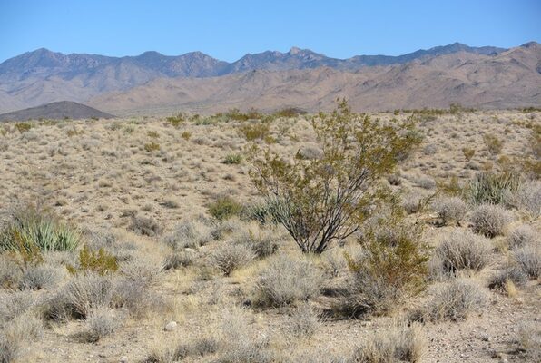 Golden Valley, Arizona 86413 Land for Sale | Landmodo