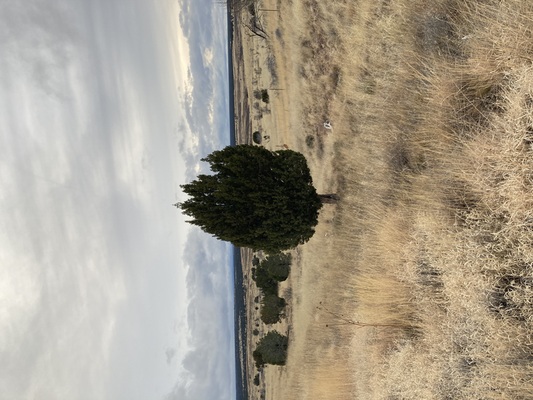 Navajo County, AZ Land for Sale | Landmodo