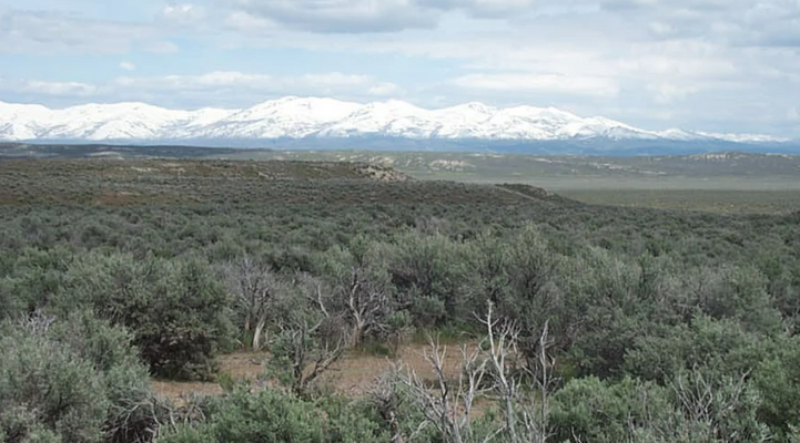 Osino, Nevada 89801 Land for Sale | Landmodo