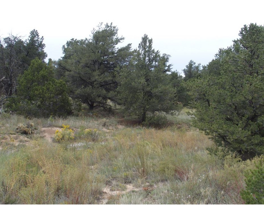 Garfield, New Mexico, 87321 Land for Sale | Landmodo