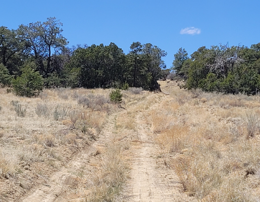 Candy Kitchen, New Mexico, USA 87321 Land for Sale | Landmodo
