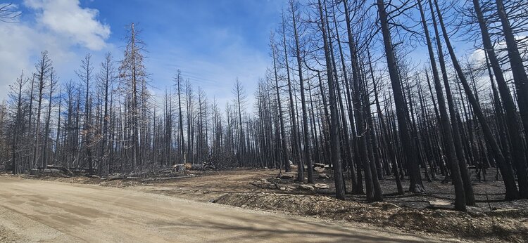 Klamath County, Oregon Land for Sale | Landmodo