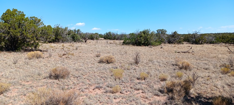 0 N7229, Sanders, AZ 86512, USA Land for Sale | Landmodo