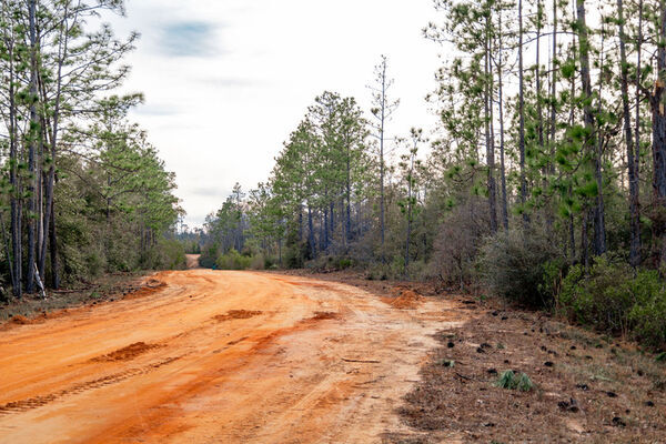 Grand Mesa Avenue, Alford, Florida 32420 Land for Sale | Landmodo