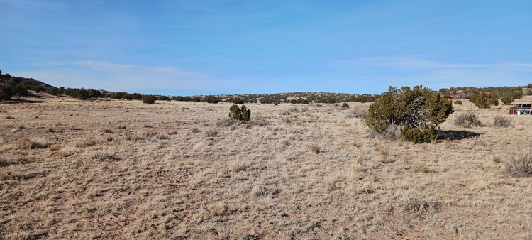 Sanders Unified School District, Sanders, AZ Land for Sale | Landmodo