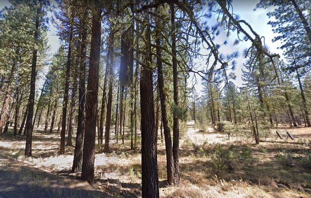 California Pines, Modoc County, California Land for Sale | Landmodo