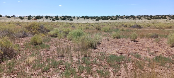 Sanders, AZ 86512 Land for Sale | Landmodo