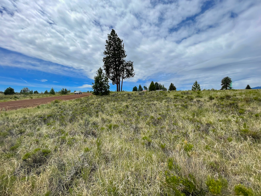 Pleasant View Rd, Oregon 97624, USA Land for Sale | Landmodo