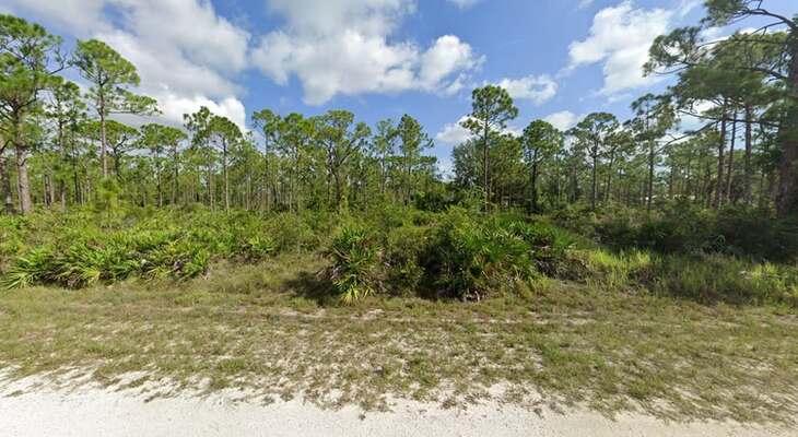 28066 ARGYLE DR PUNTA GORDA, FL 33955 Land for Sale | Landmodo