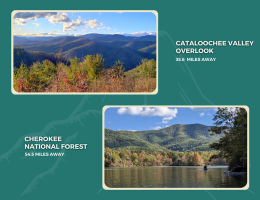 Sandy Mush Township, NC Land for Sale | Landmodo