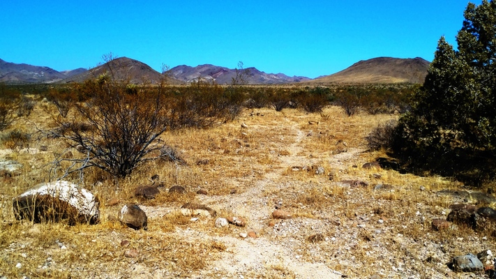 Blackwater Rd, Arizona 86413, USA Land for Sale | Landmodo