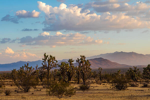 Mohave County Arizona Land for Sale | Landmodo