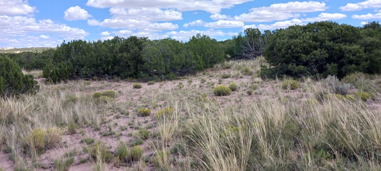 Sanders, AZ Land for Sale | Landmodo