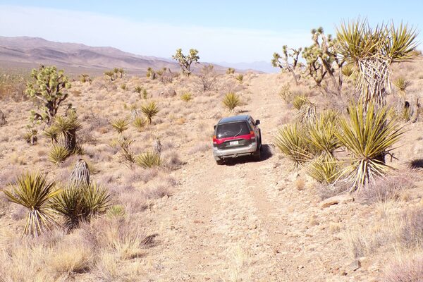 Dolan Springs, Arizona 86441 Land for Sale | Landmodo