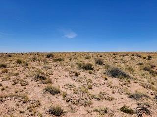 Navajo, Arizona Land for Sale | Landmodo