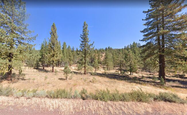 CALIFORNIA PINES LAKE Land for Sale | Landmodo