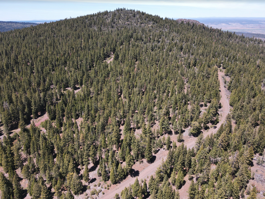 Mt. Bullion Rd, Alturas, CA 96101 Land for Sale | Landmodo