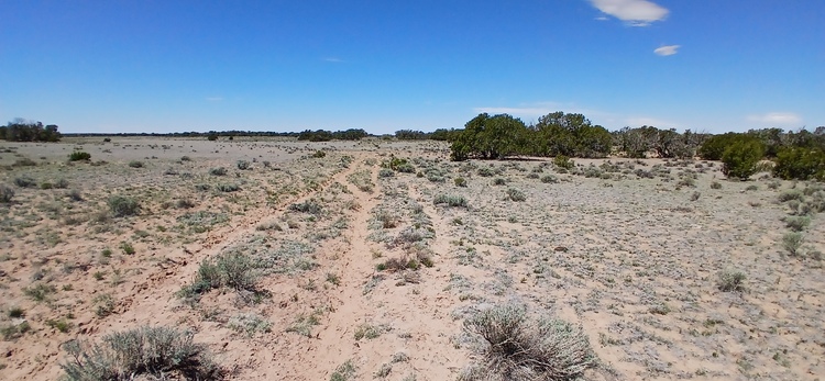 Sanders, AZ Land for Sale | Landmodo