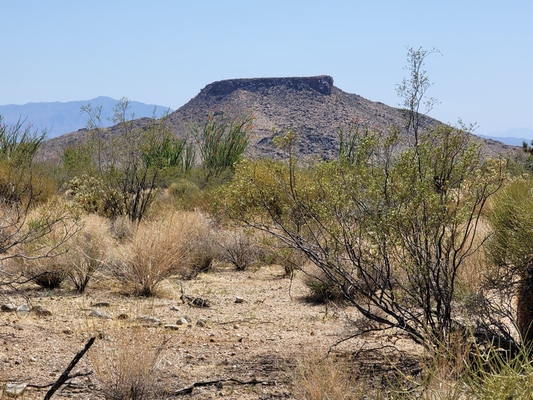 Yucca Arizona Land for Sale | Landmodo