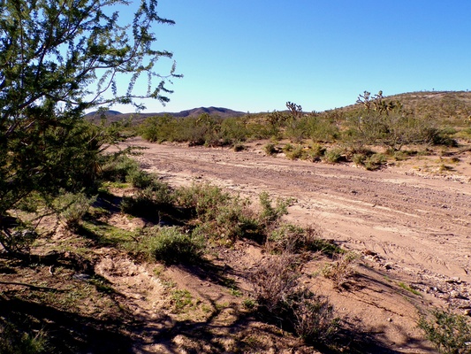 N Lomila Dr, Dolan Springs, AZ, 86441 Land for Sale | Landmodo