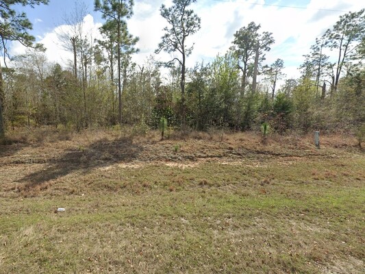 0 Parkside Dr, Donalsonville, GA 39845 Land for Sale | Landmodo