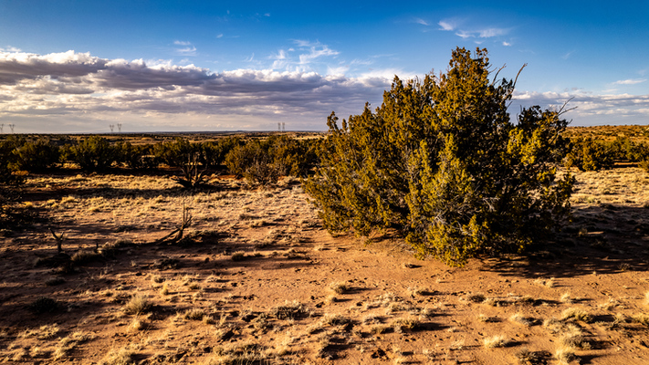 N9148, Arizona 85924, USA Land for Sale | Landmodo