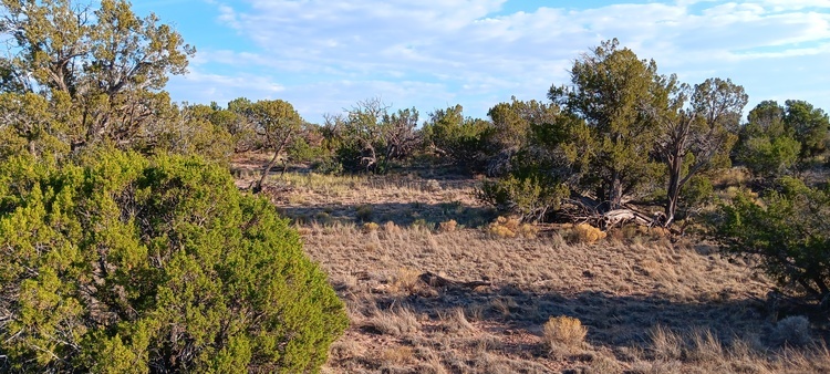 Sanders, Apache County, AZ, 86502 Land for Sale | Landmodo
