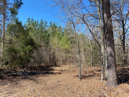 Land for Sale | Landmodo